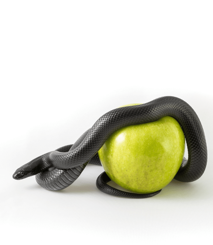 7 Deadly Content Marketing Sins | Ghidotti Communications